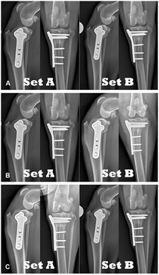 Frontiers | Comparison of radiographic scoring systems for assessment of bone healing after ...